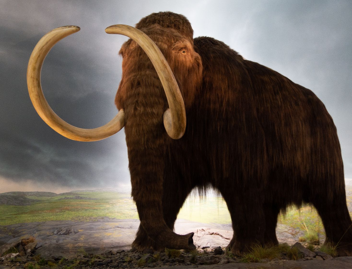 We Can Bring Extinct Species Back To Life - But Should We? - HistorySnob