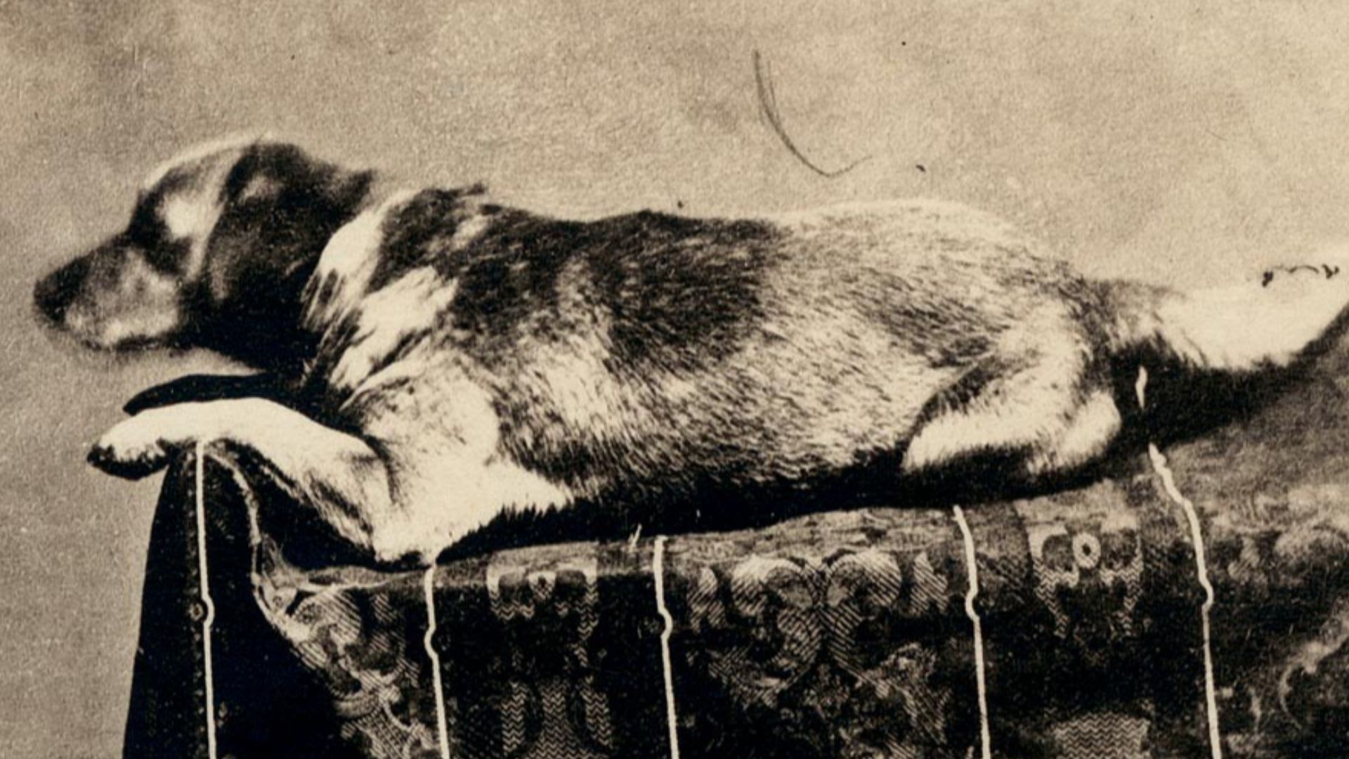 20 Lesser-Known Facts About Abraham Lincoln - HistorySnob