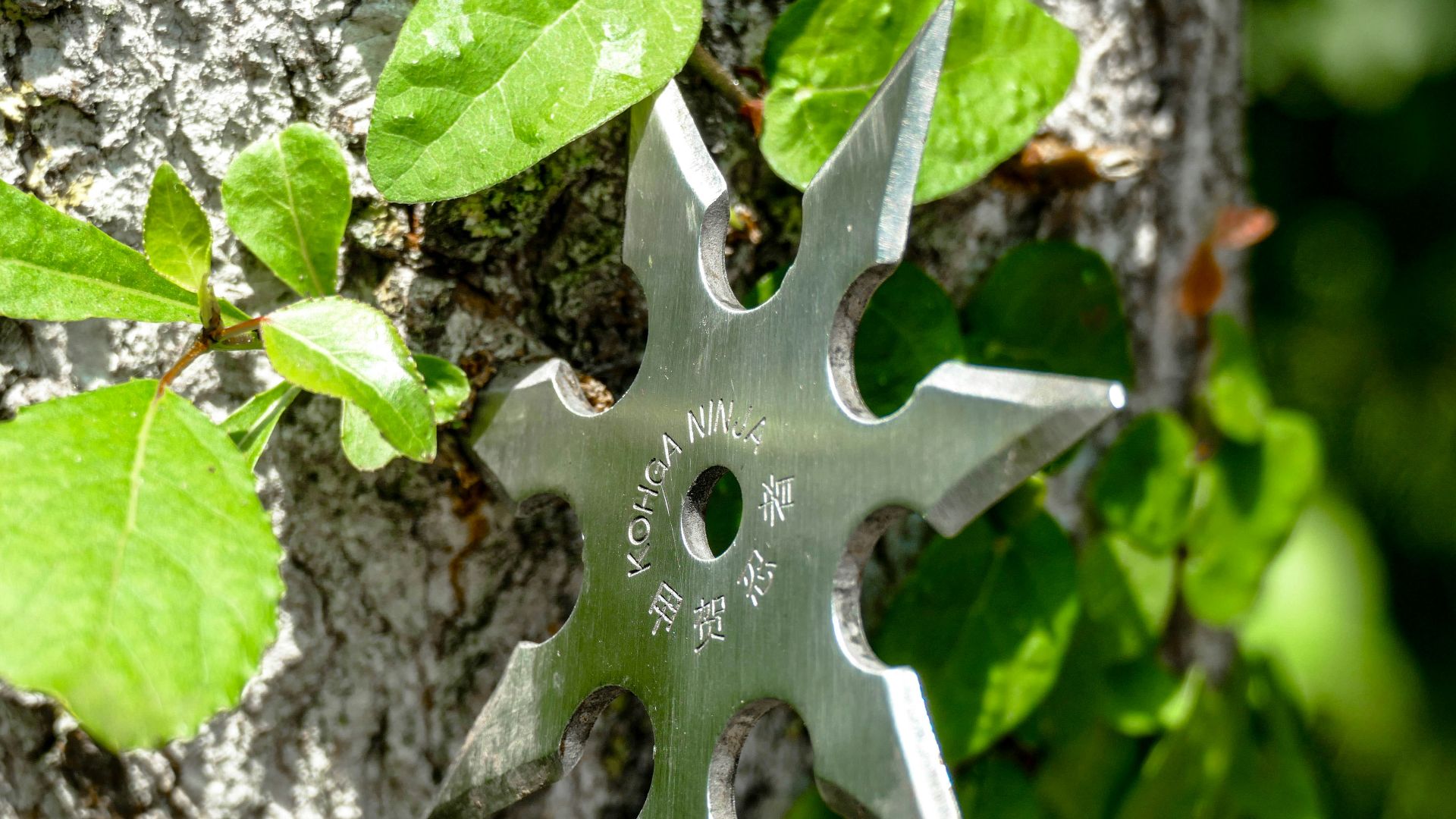 Samurais & Ninjas: The Amazing World Of Ancient Japan - HistorySnob