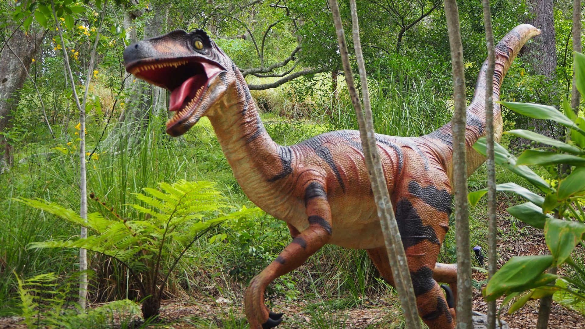 The 20 Coolest Dinosaurs That Ever Roamed The Earth - HistorySnob