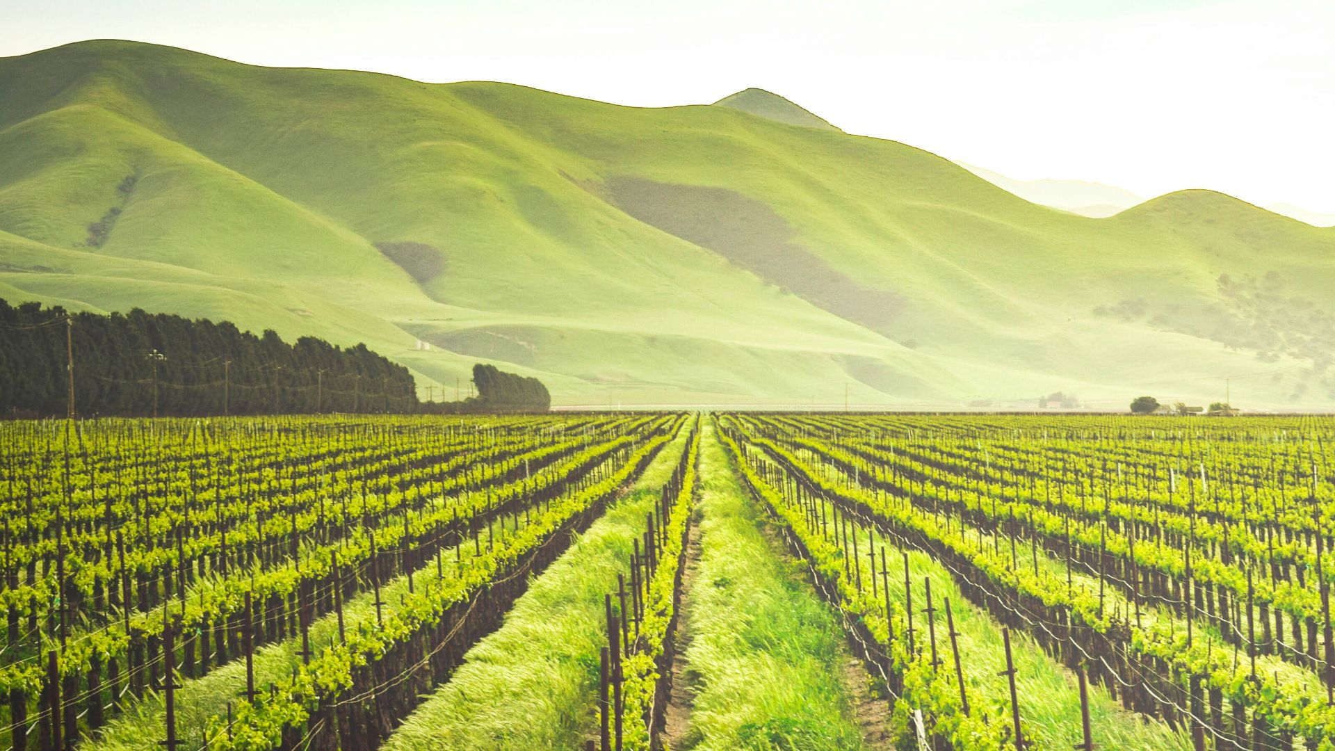 10 Of The Earliest Laws & 10 We Still Practice Today - HistorySnob