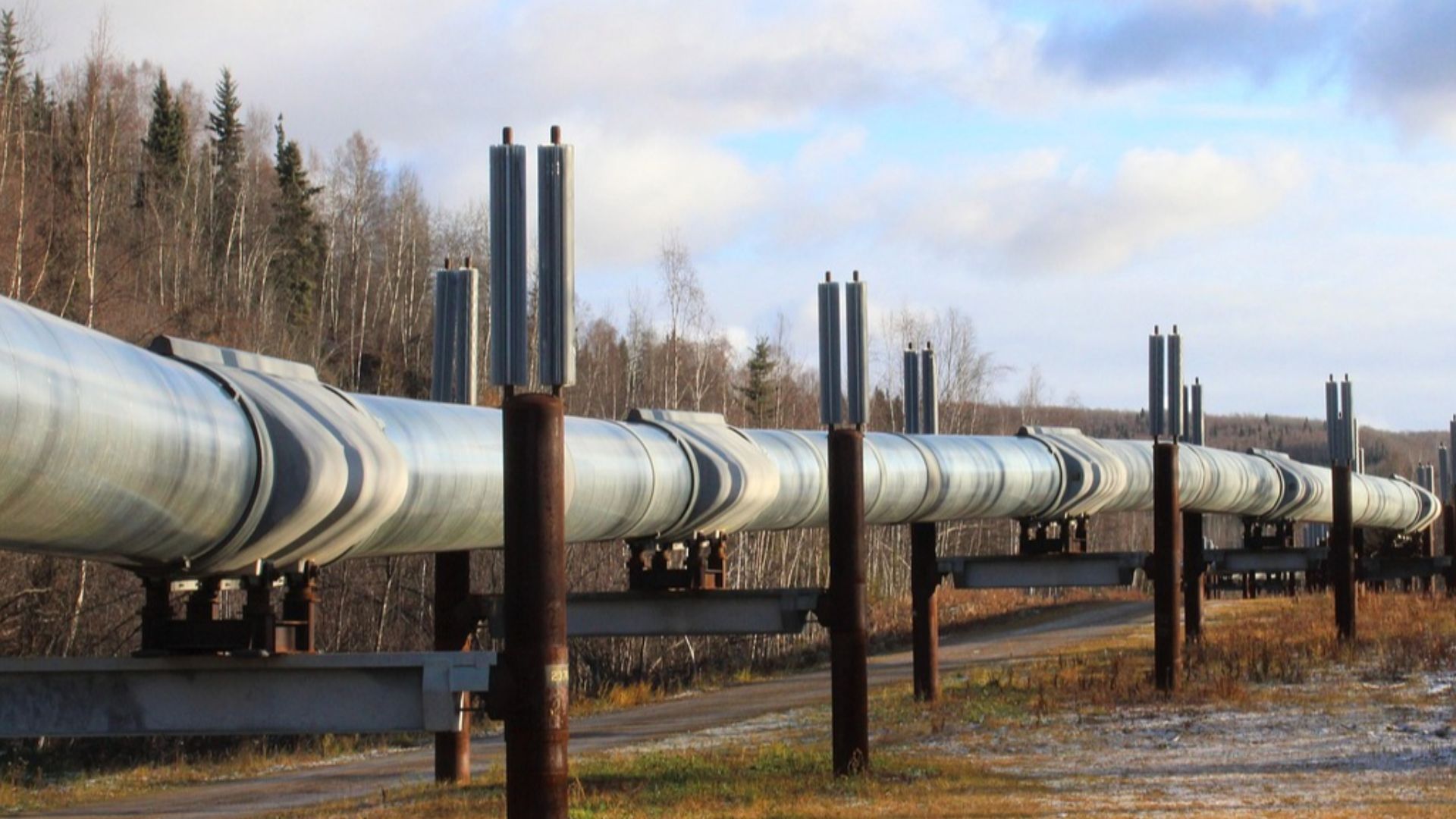 Party Like It's 1999: 20 Wild Facts About Y2K - HistorySnob