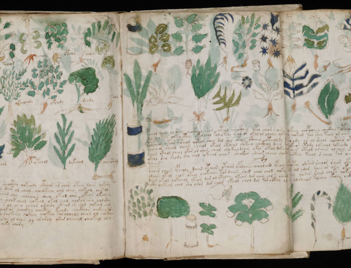 20 Mysterious Historical Documents - HistorySnob