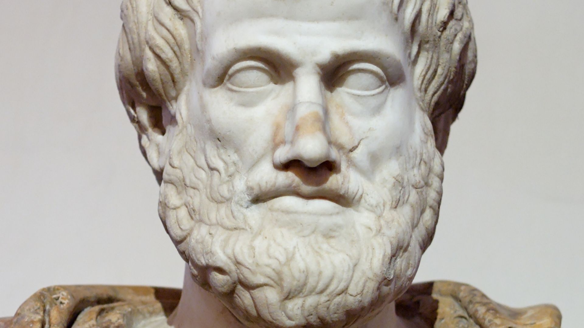 A Brilliant Mind: 20 Facts About Aristotle, History's Greatest Thinker ...