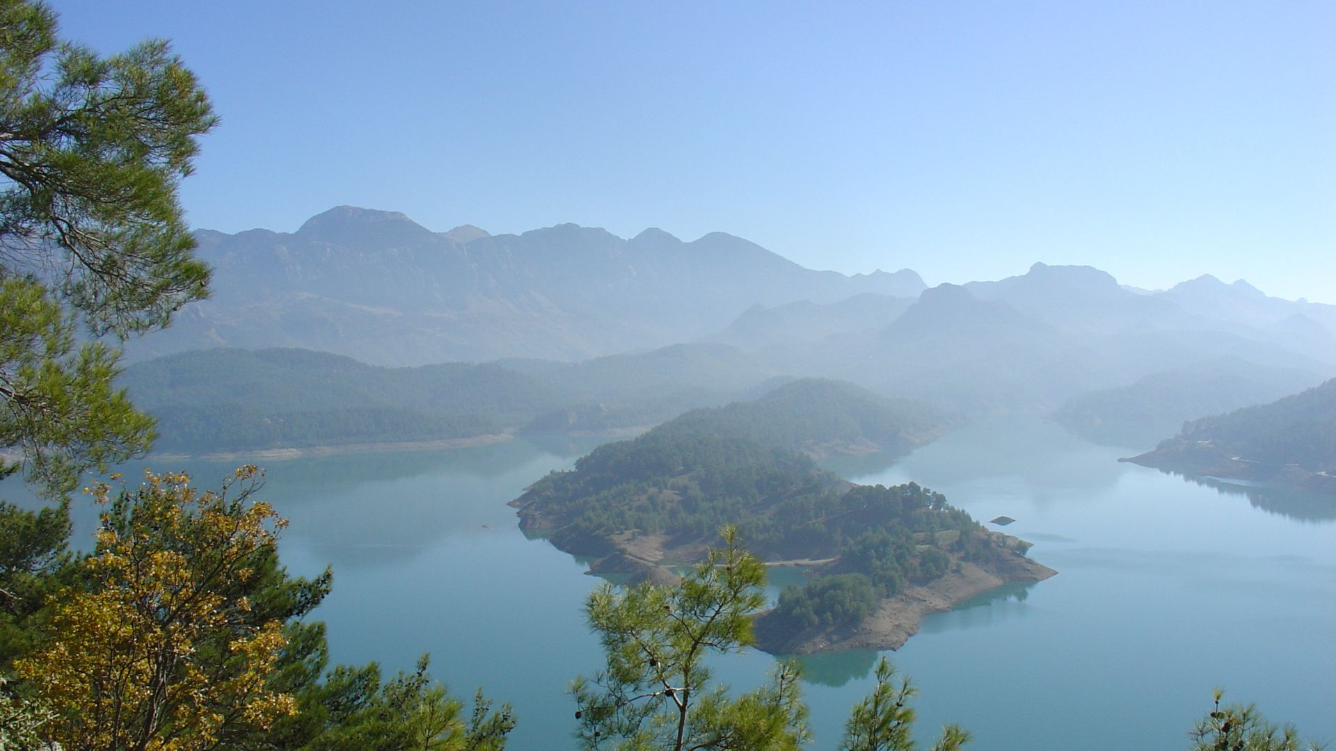 A Brilliant Mind: 20 Facts About Aristotle, History's Greatest Thinker ...