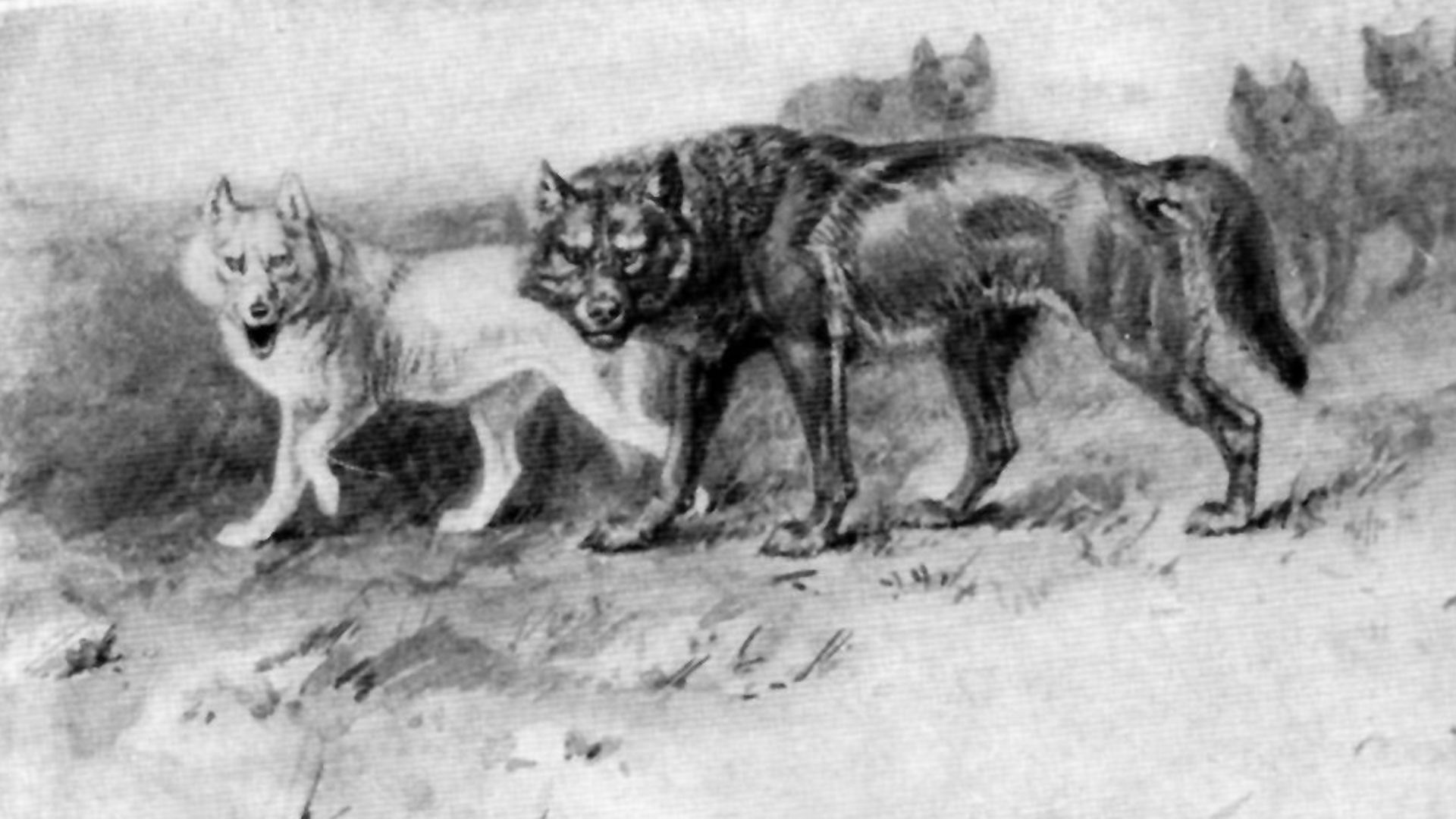 20 Animals That Changed History As We Know It - HistorySnob