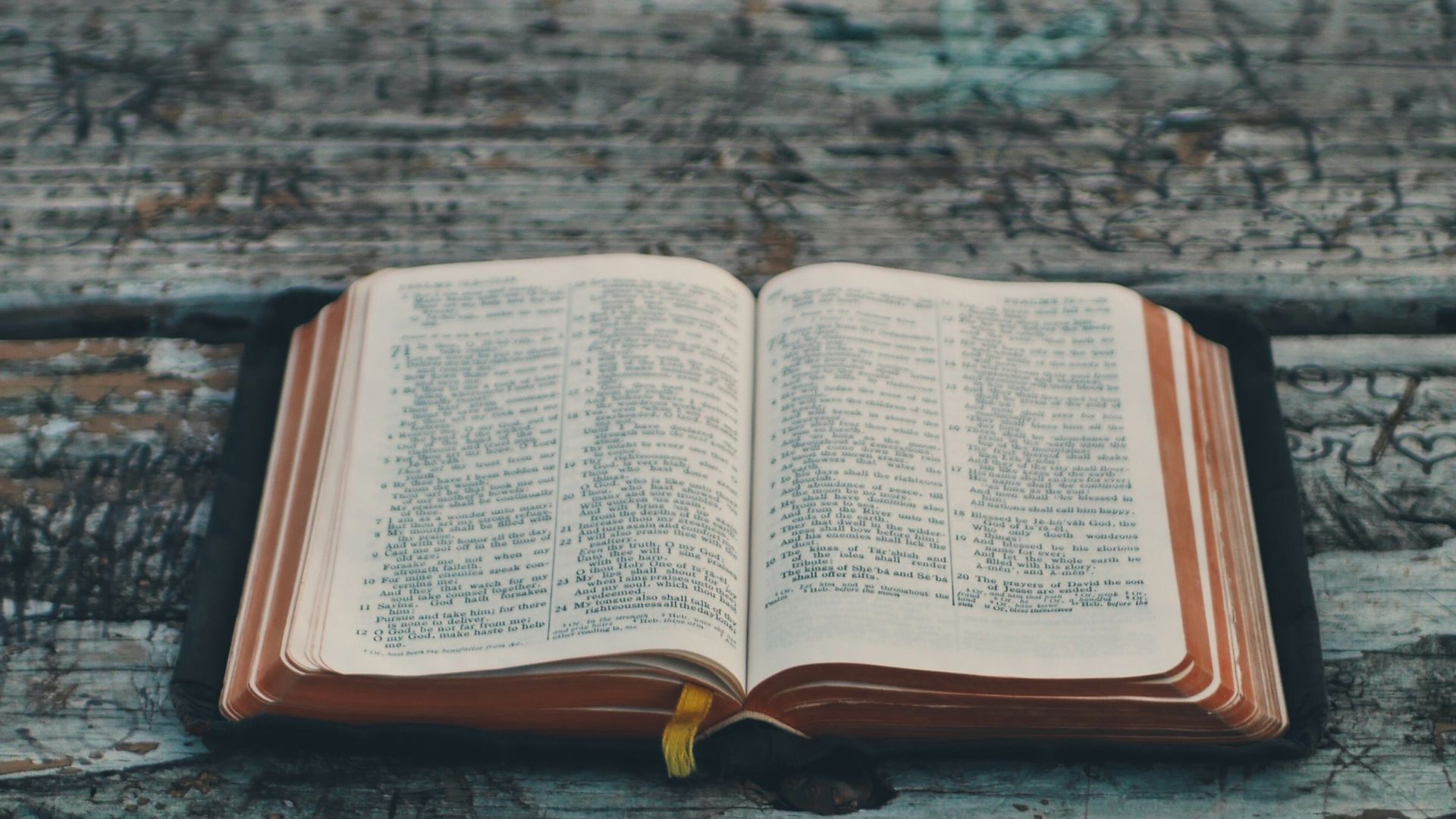20 Fascinating Facts About The Bible, The Best-Selling Book In History ...