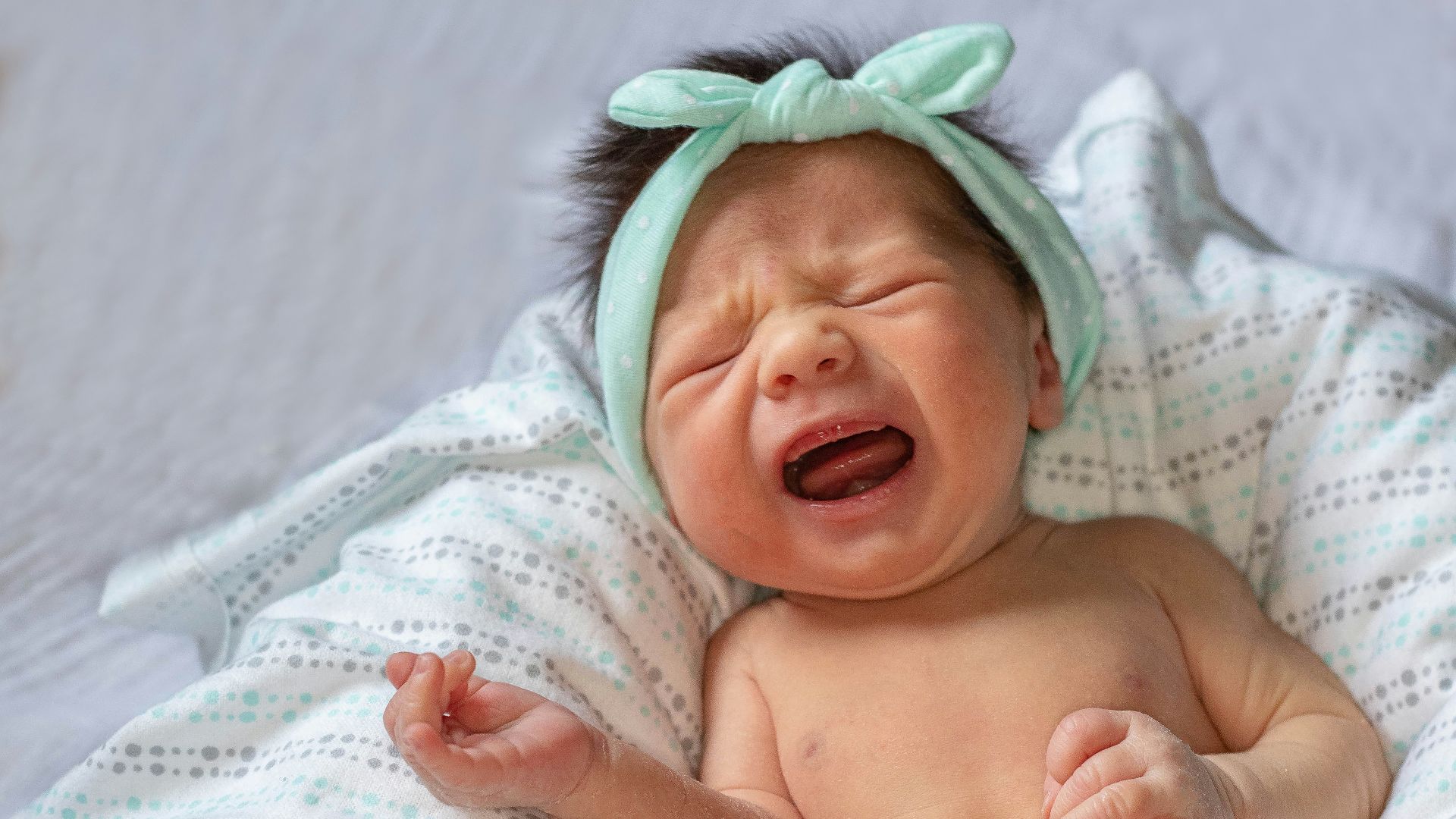 20 Historical Facts About Life In Sparta - HistorySnob